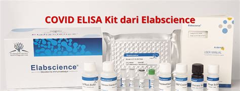 Covid Elisa Kit Dari Elabscience Pt Indogen Intertama