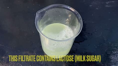 Extraction Of Casein And Lactose From Milk Youtube