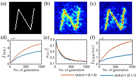 Scoring Based Genetic Algorithm For Wavefront Shaping To Optimize Multiple Objectives