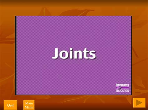 Interactive Powerpoint Skeletal System PPT