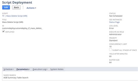 Netsuite Mass Delete Tool