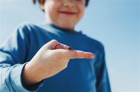 A Boy And A Bug By Stocksy Contributor Ali Deck Stocksy