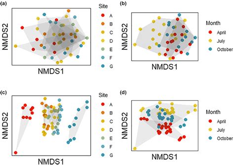 Nonmetric Multidimensional Scaling Plot Based On Morphological Data A