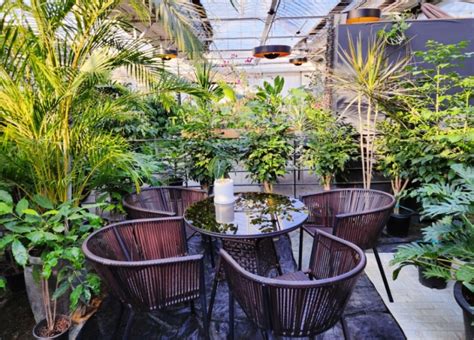 성남분당시흥동 어반팜 식물카페 네이버 블로그