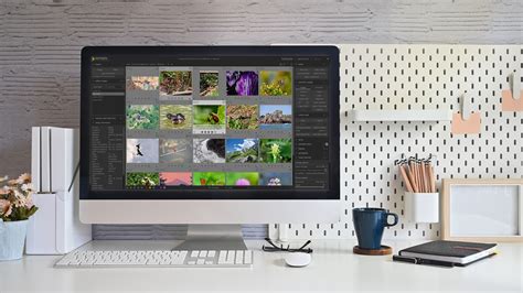 Darktable Developers Preparing To Ditch Macos Support