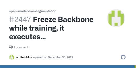 Freeze Backbone While Training It Executes Selffreezestages Function On Each Training