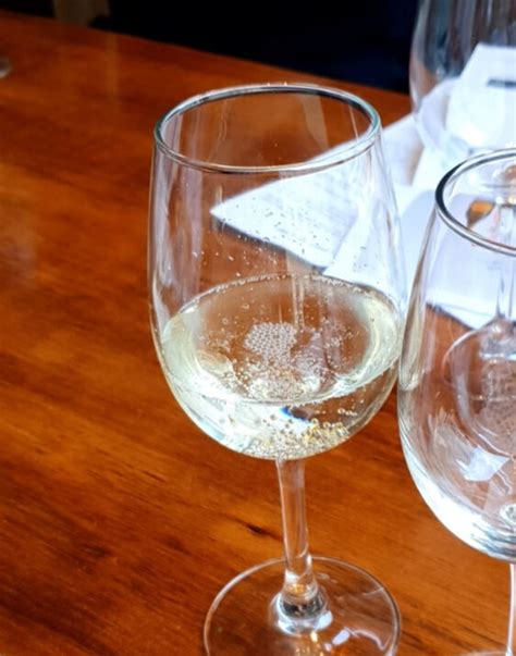 맛보고서 샴페인·프로세코·까바올여름 ‘와캉스 픽은 세계일보