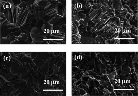 Sem Micrographs Showing Fracture Surfaces Of Cr 2 Alca And Cr 2