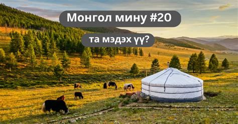 Монгол мину 20