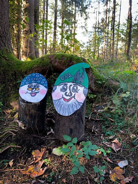 Zwergenwald Tourismusverband Abtenau Webshop