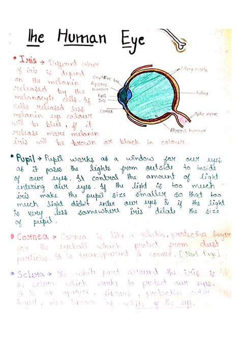 SOLUTION Human Eye And The Colourful World Class 10 Chapter 11 Science