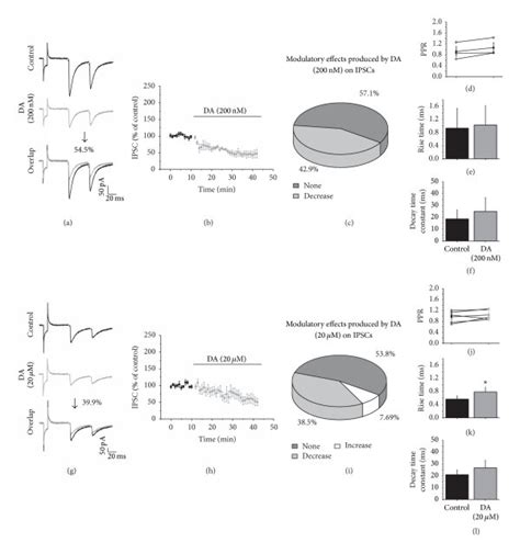 Da Modulation Of Striatal Gabaergic Transmission A And G Show Ipscs