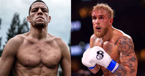 Damn…shots Fired Fans Go Wild As Ufc Legend Nate Diaz Accuses Jake Paul Using Steroids