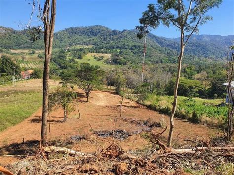 ขายที่ดินเขาใหญ่ ทำเลดี ติดถนนสาธารณะ บ้านซับใต้ ต พญาเย็น อ ปากช่อง จ นครราชสีมา Kaidee