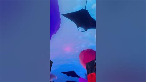 핑크고래가 살고있는 인천 핫플 인스파이어 리조트🐳 Youtube