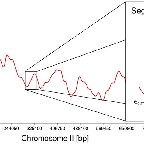 Schematic View Of The Data Processing Procedure The Genomic Sequence Download Scientific