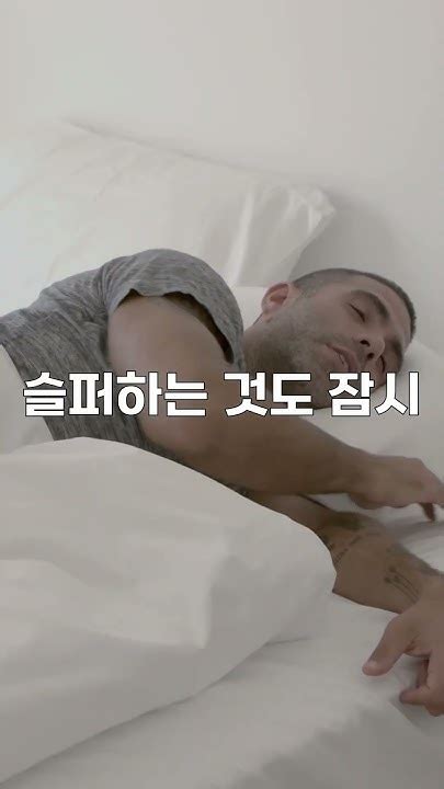 임종 직전 강아지를 위한 특별한 산책 Youtube