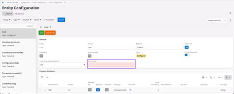 Custom Entities Technical Documentation For Ifs Cloud