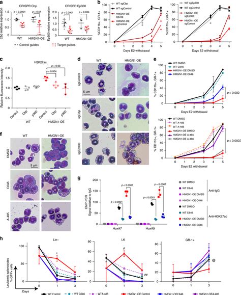 Targeting Histone Acetyltransferases Cbp P300 Reverses Hmgn1 Associated Download Scientific