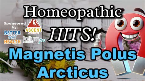 Magnetis Polus Arcticus The Robert Scott Bell Show