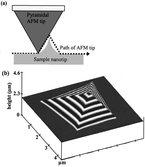 A Illustration Of Convolution Effects Between The Afm Tip And The
