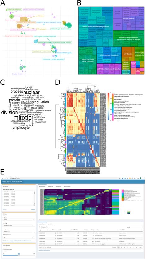 Rrvgo A Bioconductor Package For Interpreting Lists Of Gene Ontology Terms Pmc