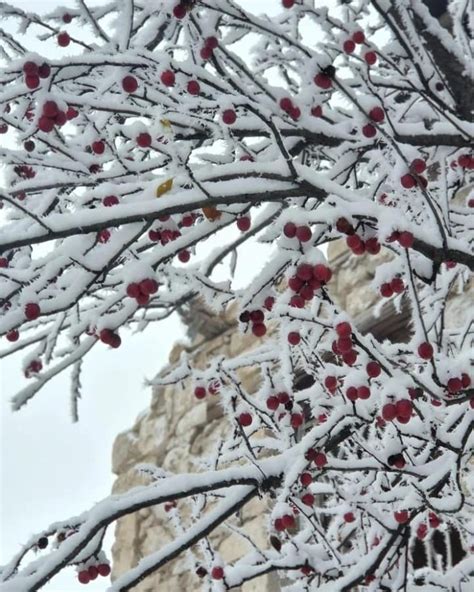 Культурная столица Азербайджана облачилась в снежное одеяние ФОТО