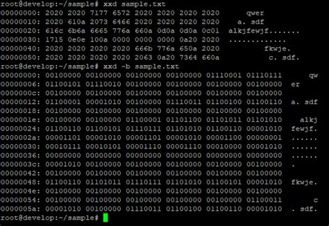 Linux Hex Dump로 보여주는 명령어 Xxd 무슨 값인지 확인하는 방법눈에 안보이는 Null 등 확인가능