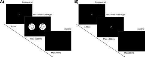Nonsymbolic And Symbolic Numerical Magnitude Processing In The