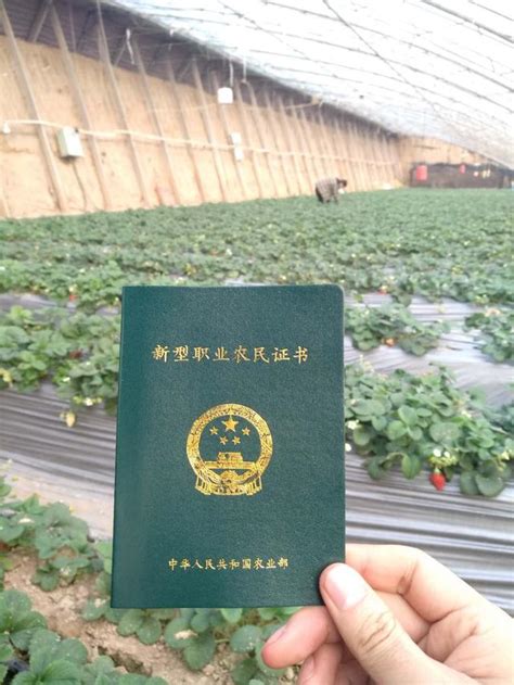 一款「新農具」，手把手教你成為新型職業農民！ 每日頭條