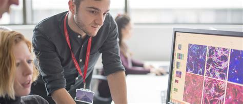 Cell Based Assays Development Drug Discovery Sygnature