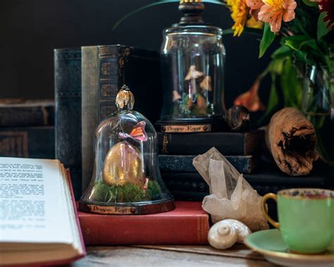 Dragon Egg Specimen Collection Dragon Eggs Mushroom And Moss Etsy