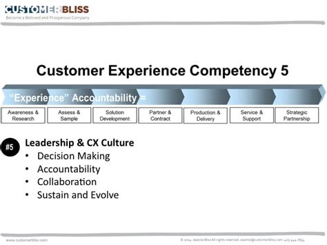 Cx Competency 5 Leadership And Cx Culture Customer Bliss