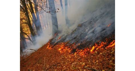 Пожарът на границата с Гърция се разраства фронтът му вече е 20 км Видео
