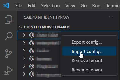 Sailpoint Identity Security Cloud Visual Studio Marketplace