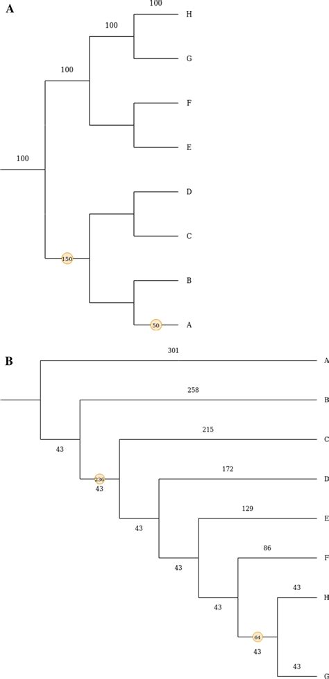 The Trees In This Figure Represent The Two Tree Types Used To Generate Download Scientific