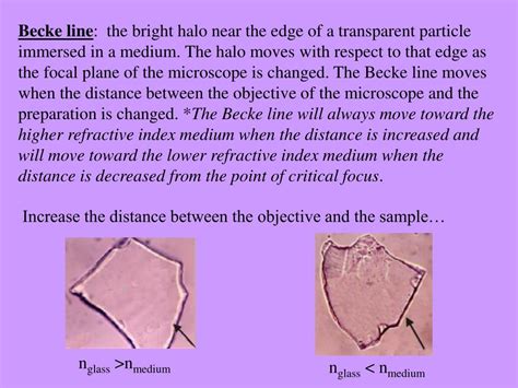 Ppt The Polarizing Lens Microscope Powerpoint Presentation Free