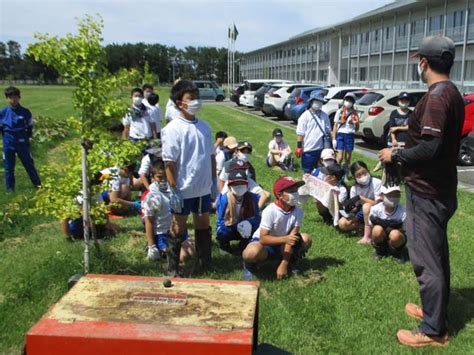 かぼちゃの収穫 大潟村立大潟小学校