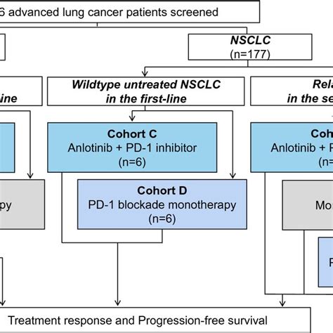 Histologic Features Of Pathologic Response To Neoadjuvant Ici