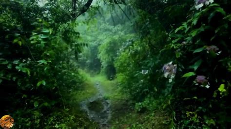 Walking In The Rain Eporner