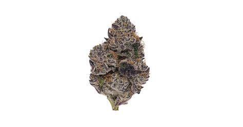 Mc Nuggets R1 Cannabis Strain Information Growdiaries