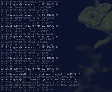 Pihole Wireguard Knowhow My Setup For Pi Hole At Home And In The Cloud To Be Used With