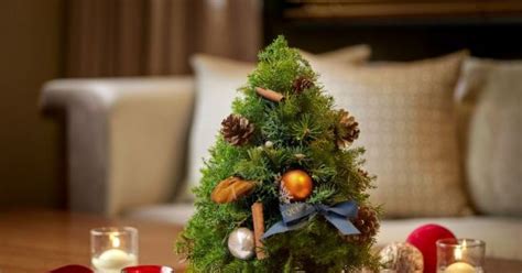 서울신라호텔 크리스마스 플라워 강좌 Mz 이색 여가