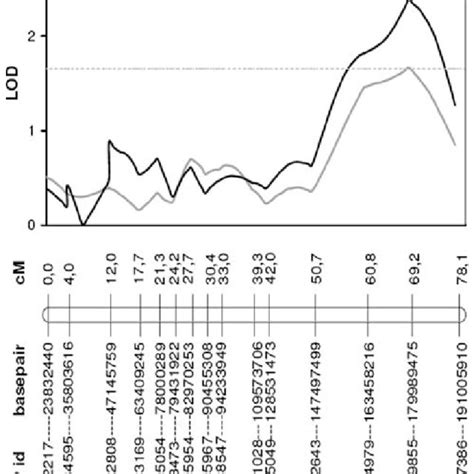 3 The Position Of Bregma On The Mouse Skull A The Mouse Skull Download Scientific Diagram