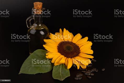 유리 주전자에 해바라기 기름 검은 배경에 고립 된 씨앗과 꽃 0명에 대한 스톡 사진 및 기타 이미지 0명 개체 그룹 건강한 생활방식 Istock
