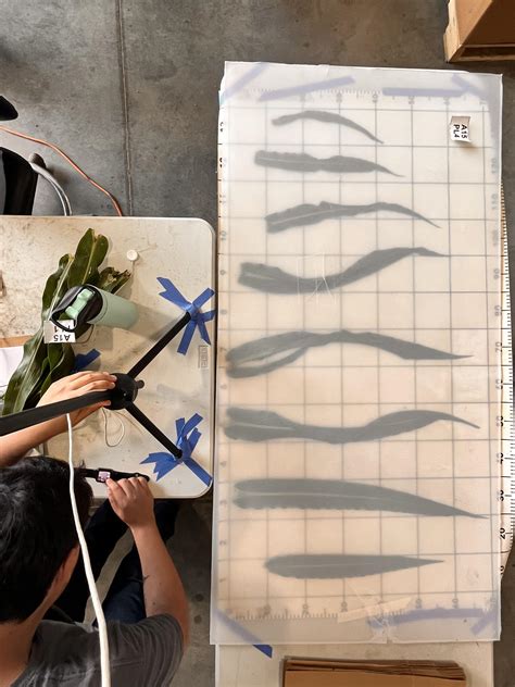 Label Detection Object Detection Dataset By Ciampittilab