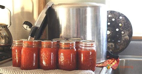 Making Tomato Juice For Canning Simplycanning