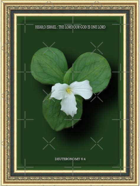☸•°”˜trillium ~state Flower Of Ontario Canada With Scripture Plz Read
