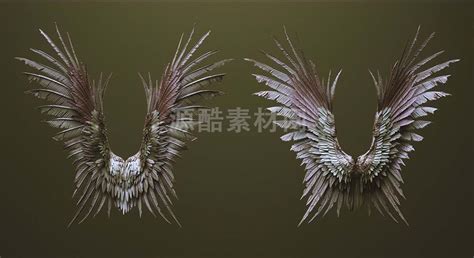 33组鸟昆虫蝙蝠龙机械生物翅膀雕刻3d模型 Wings 33 Character And Creature Wings源酷素材网