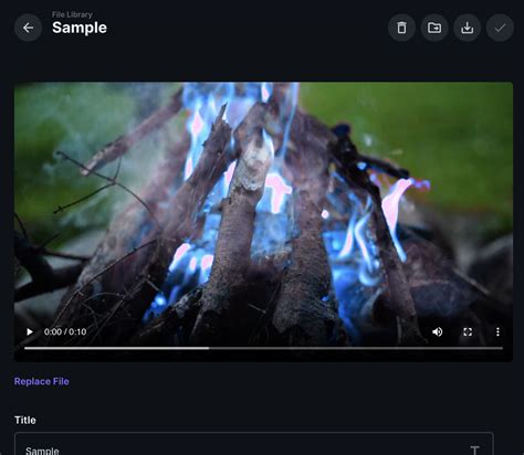 Hidden Audio Player And Styling Inconsistency · Issue 14546 · Directusdirectus · Github